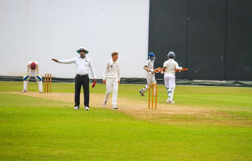 Cricket tours (Day 5/7/10/12) - Ceyloanesia Tours